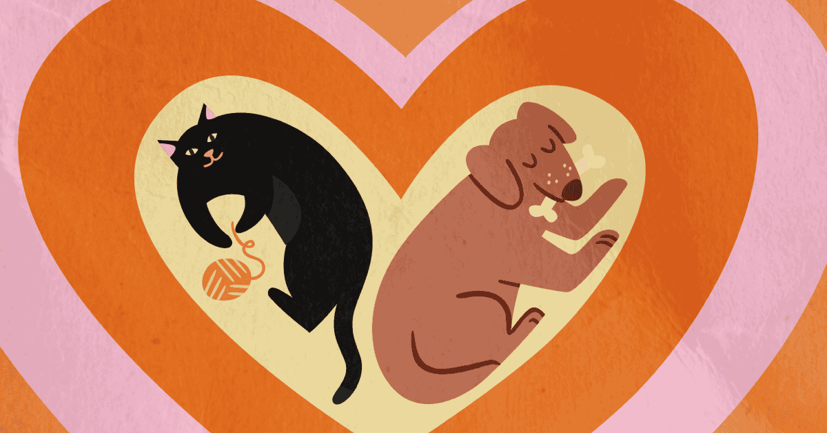 Cats: The SMA Friendly Pet | SpinalMuscularAtrophy.net